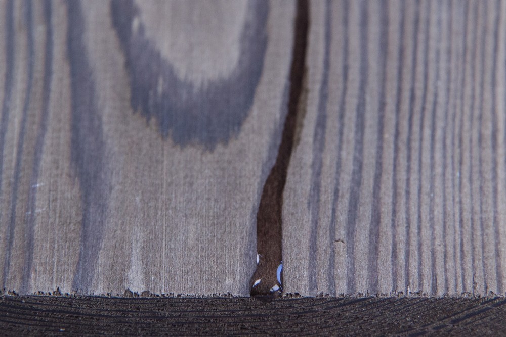 Foreco Dalfsen | WaxedWood® Siberisch Lariks - Levendige gevelbekleding ...