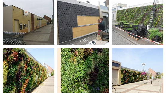 Optigroen Dak-en Gevelbegroeiing | 'Hundertwasser' Ronald Mc Donald ...